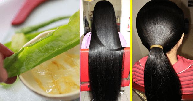 How To Grow Hair Faster And Thicker Naturally At Home Remedy