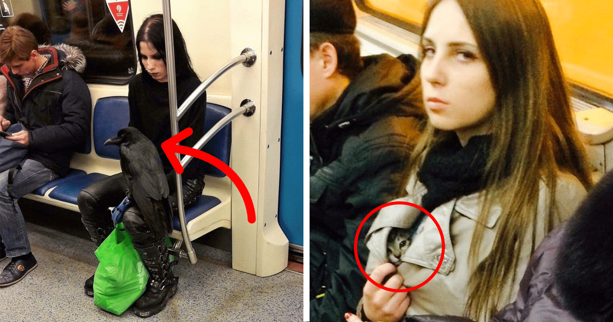 20 Most Weirdest Sights on Subway train