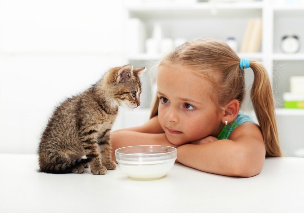 7 of the Most Kid Friendly Cat Breeds