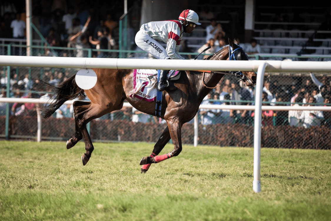 Interesting Facts You Didn't Know About Horse Racing